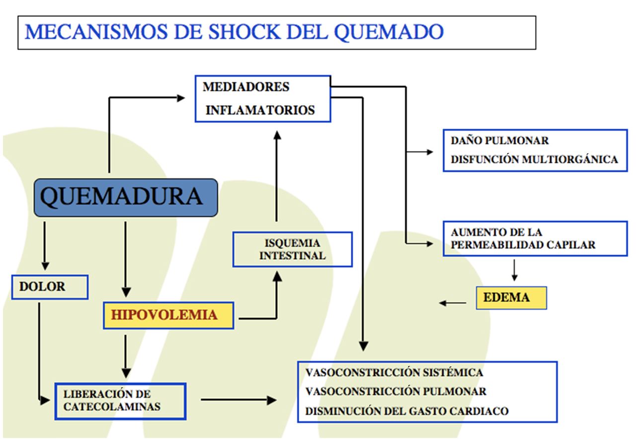 Reanimación del paciente gran quemado adulto - Revista Chilena de Anestesia