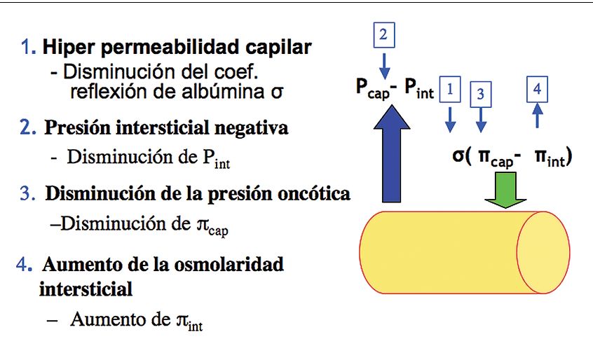Reanimación del paciente gran quemado adulto - Revista Chilena de Anestesia